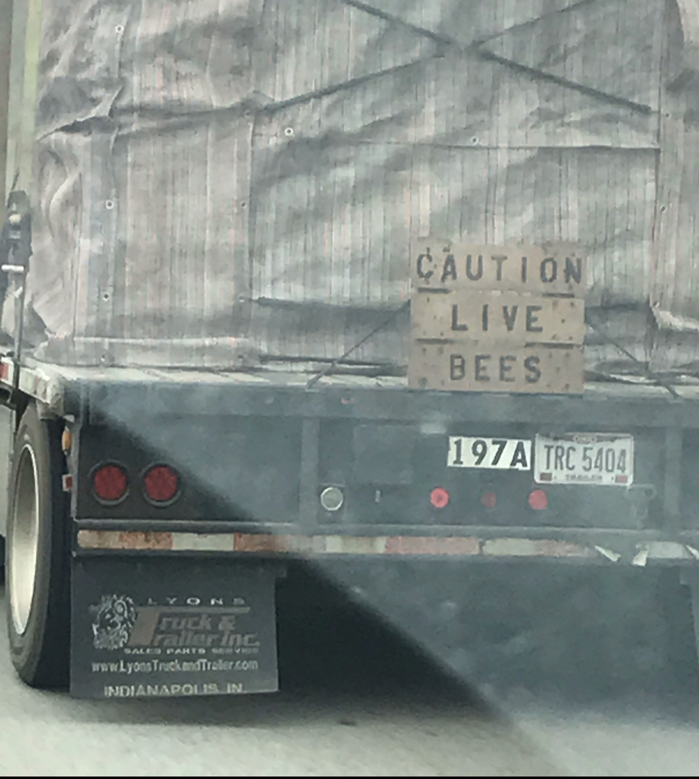 Getting Bees Ready for Winter | Married with Bees