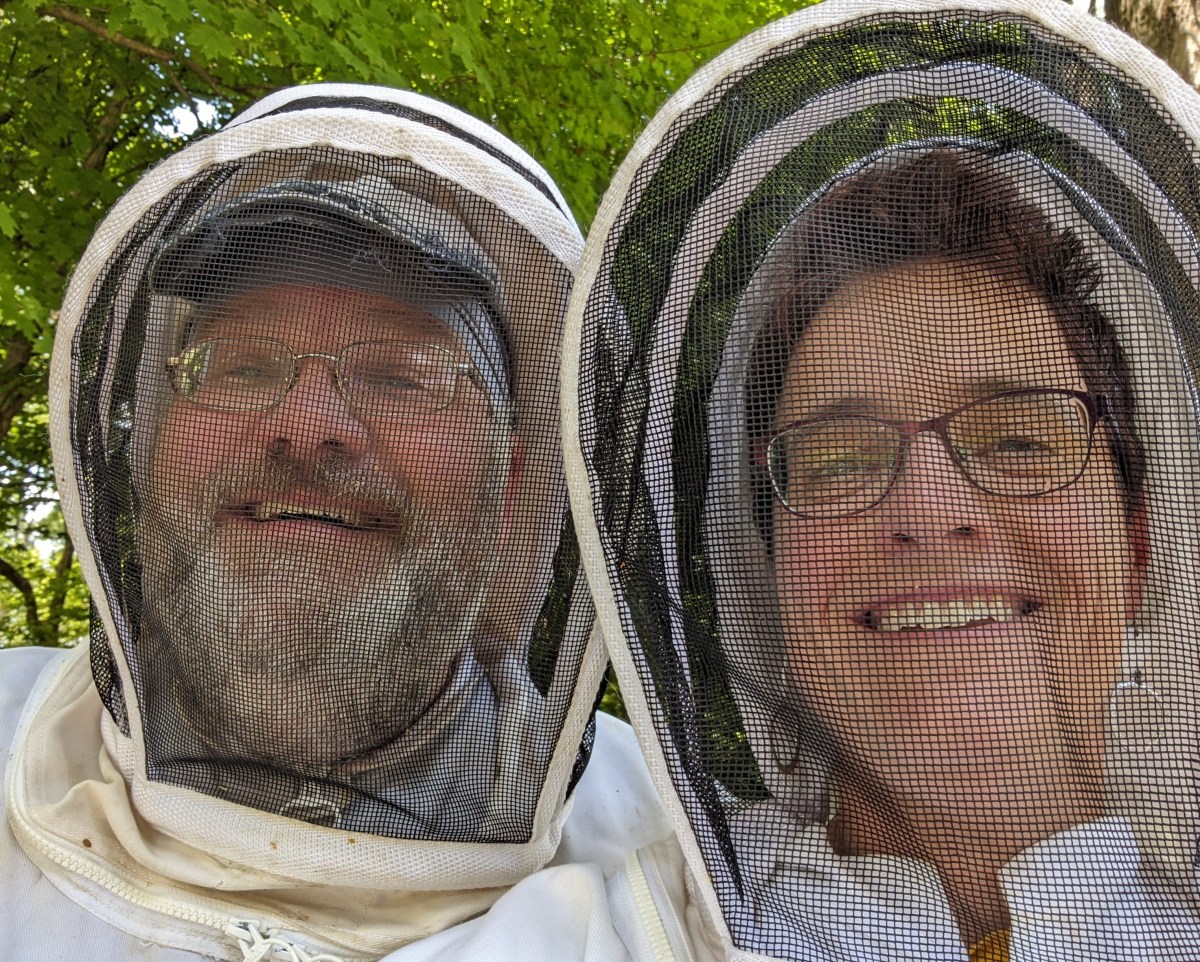 How We Got Back Our Beekeeping Mojo | Married with Bees